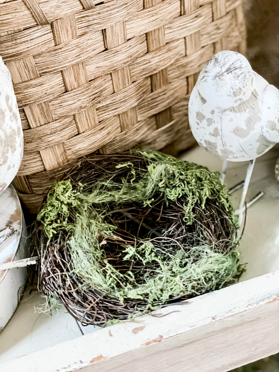 Bird Nest with Green Moss – Birch Lane by Jennifer